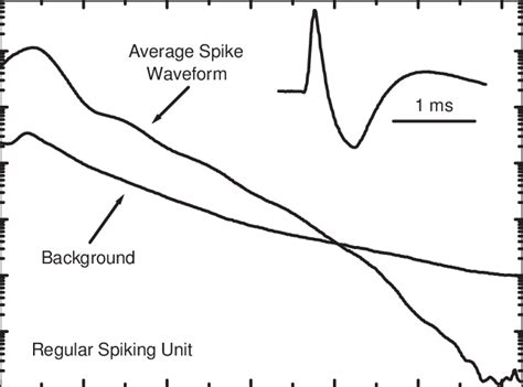Schematic Waveform Of Action Potential Pulses Spectral Components Of Download Scientific