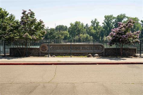 City Of Redding Newsletter July 2025