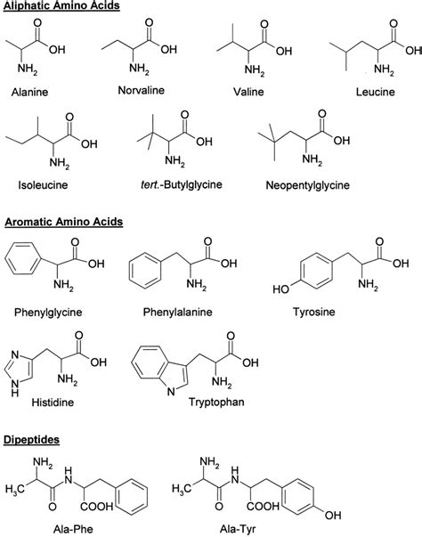 Amino Acids And Dipeptides Investigated Download Scientific Diagram