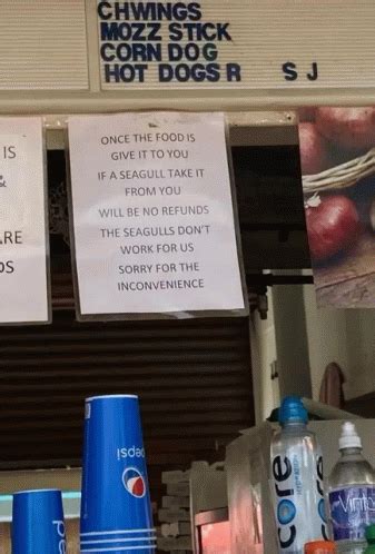Engrish Funny  Engrish Funny Meme Discover And Share S