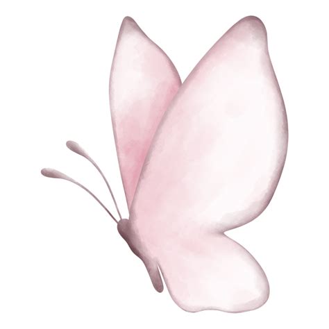 Cute Watercolor Butterfly Illustration 52960127 Png