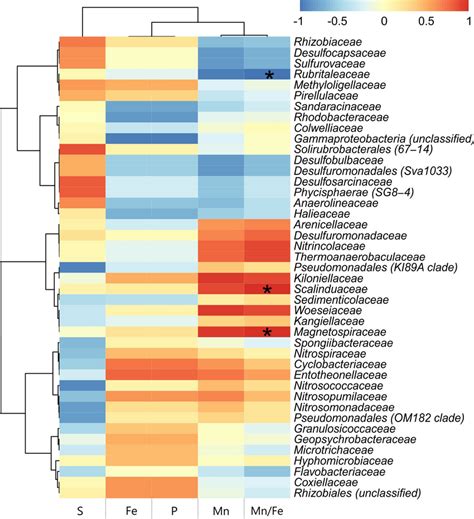 The Correlation Heatmap Illustrates The Relationships Between Relative Download Scientific