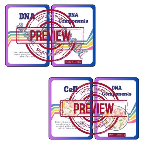 Dna Structure And Replication Mastery Worksheet Fill In The Blank