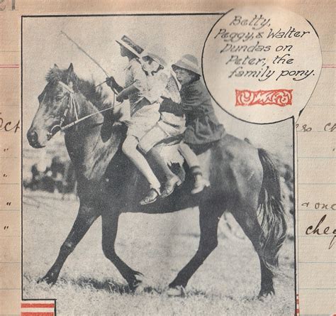 Equestrian Memories Australia Classic Ema Pony For Three Betty