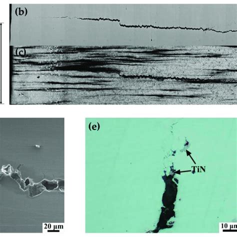 A Crack Schematic B Crack Morphology Without Corrosion By Om C Download Scientific