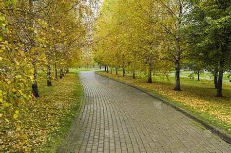 下雨天公园里空荡荡的小巷