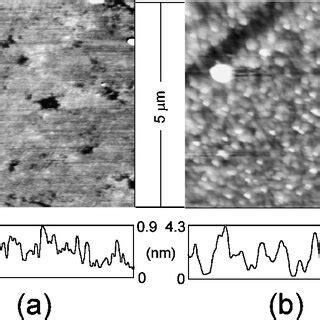 AFM Images Of OTS Treated SiO2 Before A And After B Heat Treatment Download Scientific