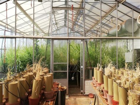 Life Agriscience Applied Research Services