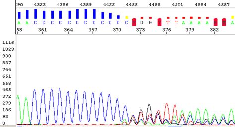 Homopolymer Regions Troubleshooting Genetic Analysis Services