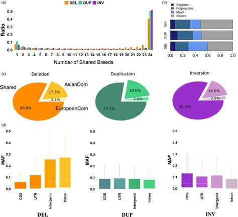 Evolutionary History Of Sv A Distribution Of Number Of Breeds That