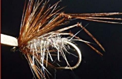 5 X Hopper Hares Ear Sugar Cube 12 Barbed [hop4] S