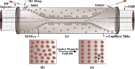 A Schematic Demonstration Of The Sensing Probe Fabricated By