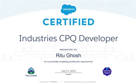 Ritu Ghosh On Linkedin Vlocity 16 Comments