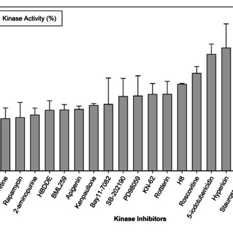 Kinase Selectivity The In Vitro Kinase Assay To Assess The Effect Of