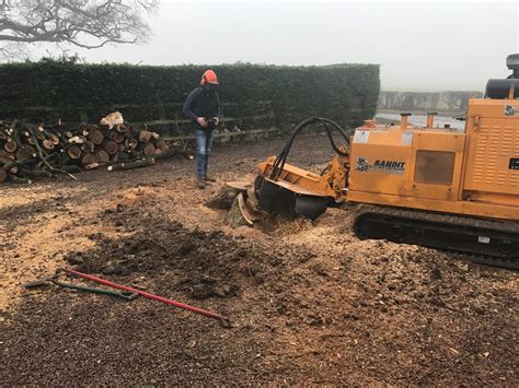 Tree Services Hereford Stump Grinding Removal