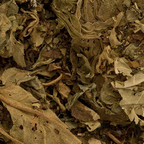 Patchouli Organic Pogostemon Cablin India Patchouli Fragrance Ingredients Diluting