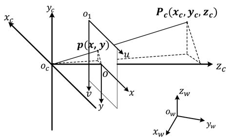 The Setup Of Four Types Of Coordinate Systems Download Scientific Diagram