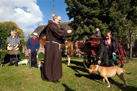 Diaken Hans Van Bemmel Brengt De Dierzegening Op Werelddierendag Ook