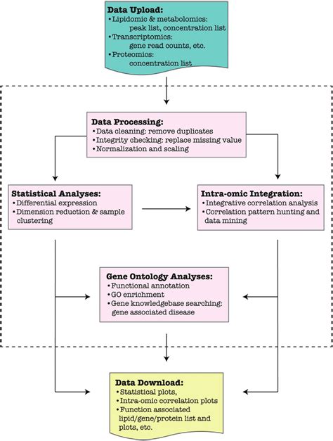 A Diagram Illustrating Lint Web Workflow And Data Processing Procedure