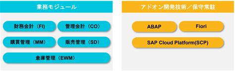 Sap導入支援サービス 株式会社 第一コンピュータリソース