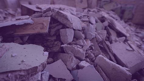 Brain And Mental Health From Infancy To Adolescence