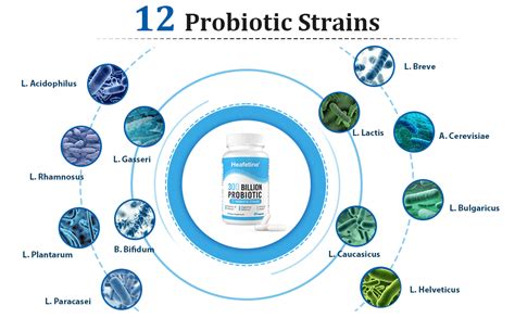 Mua 300 Billion Cfus Probiotic Probiotics For Women Men 12