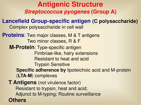 Ppt Streptococcus And Enterococcus Powerpoint Presentation Free
