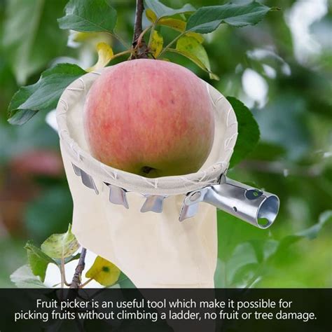 Outil De Cueillette De Fruits Fafeicy Tête De Cueilleur De Fruits Blanc Fer Ruban