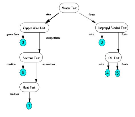 Classifying Plastics Plassifying Biocircuits Outreach