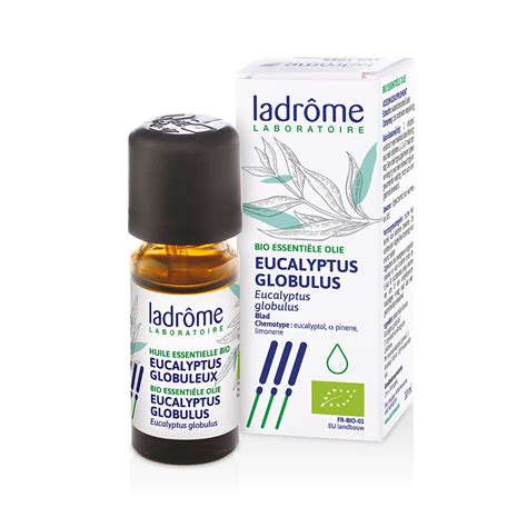 Eucalyptus Globulus 10ml Duurzaamhuid