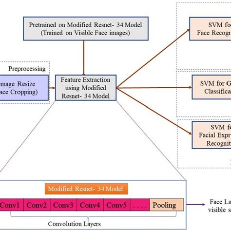 Block Diagram Of The Proposed Face Recognition Gender Classification Download Scientific