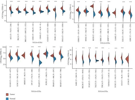 Validation Of Cycs Expression In Tumors And Analysis Of Immune Levels