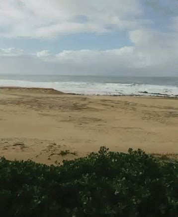 Sea Beach  Sea Beach Ocean Discover And Share S