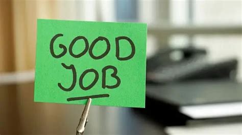 Compliment Vs Complement 뜻 정확히 알고 씁시다