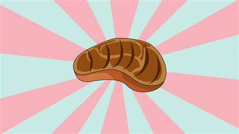 Animated Steak With A Rotating Background 29474698 Stock Video At Vecteezy