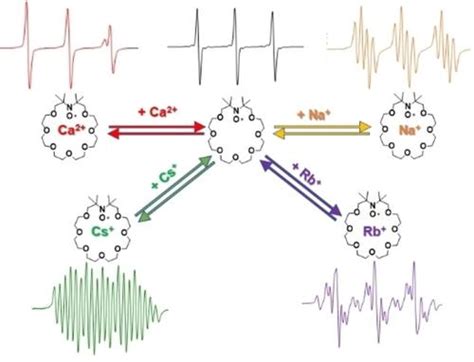结合持久性硝基氧化自由基单元的氮杂冠醚对阳离子物种的 Epr 传感 Chemistry A European Journal X Mol