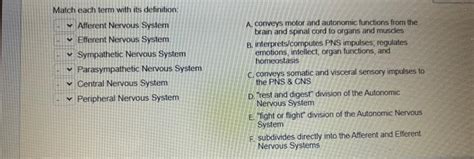 Solved Tooth 24 Is Innervated By The Nerve Men