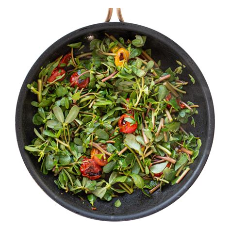 Purslane Recipes