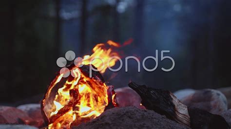 Small Campfire In Forest