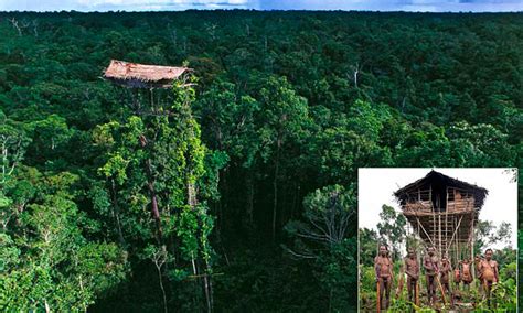 Papua New Guinea Tree Houses Worldrecordtour Oceania Pacific Papua