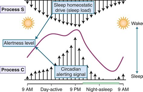 Sleep And Its Disorders Clinical Tree