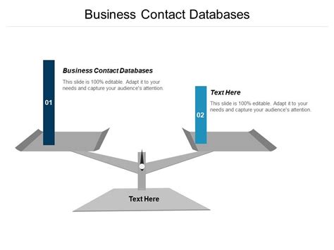 Business Contact Databases Ppt Powerpoint Presentation Portfolio Influencers