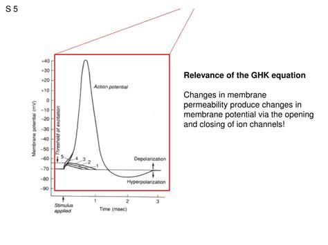 Ppt Electrical And Concentration Gradient Driving Forces For Sodium