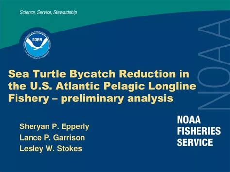 Ppt Sea Turtle Bycatch Reduction In The Us Atlantic Pelagic