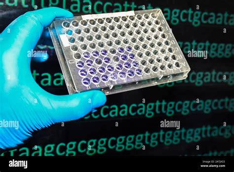 Abstract Background Genetic Code Sequence Of Nucleotide Bases In A DNA Fragment Stock Photo