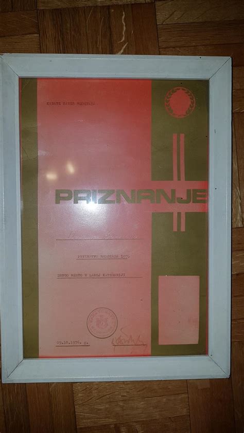 Borislav Pelević 61097605