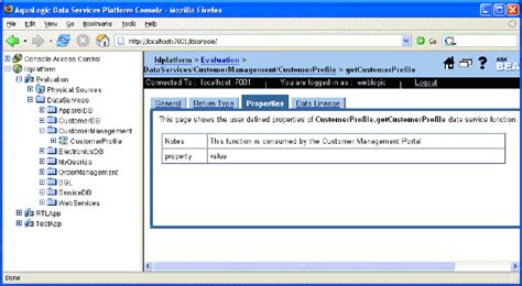 Managing Data Service Metadata