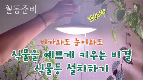 식물생장등 설치하기~비가와도 눈이와도 식물 예쁘게 키울 수 있어요~ With 빛솔led식물생장등 Youtube
