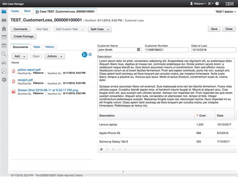 IBM Case Manager Case Details View With Case Files On The Left And Download Scientific