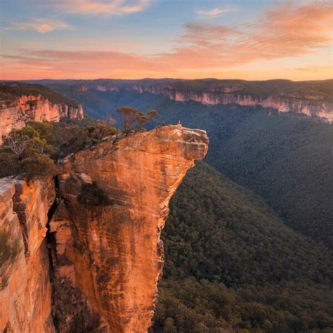 Five Facts You Didnt Know About The Blue Mountains Blue Mountains